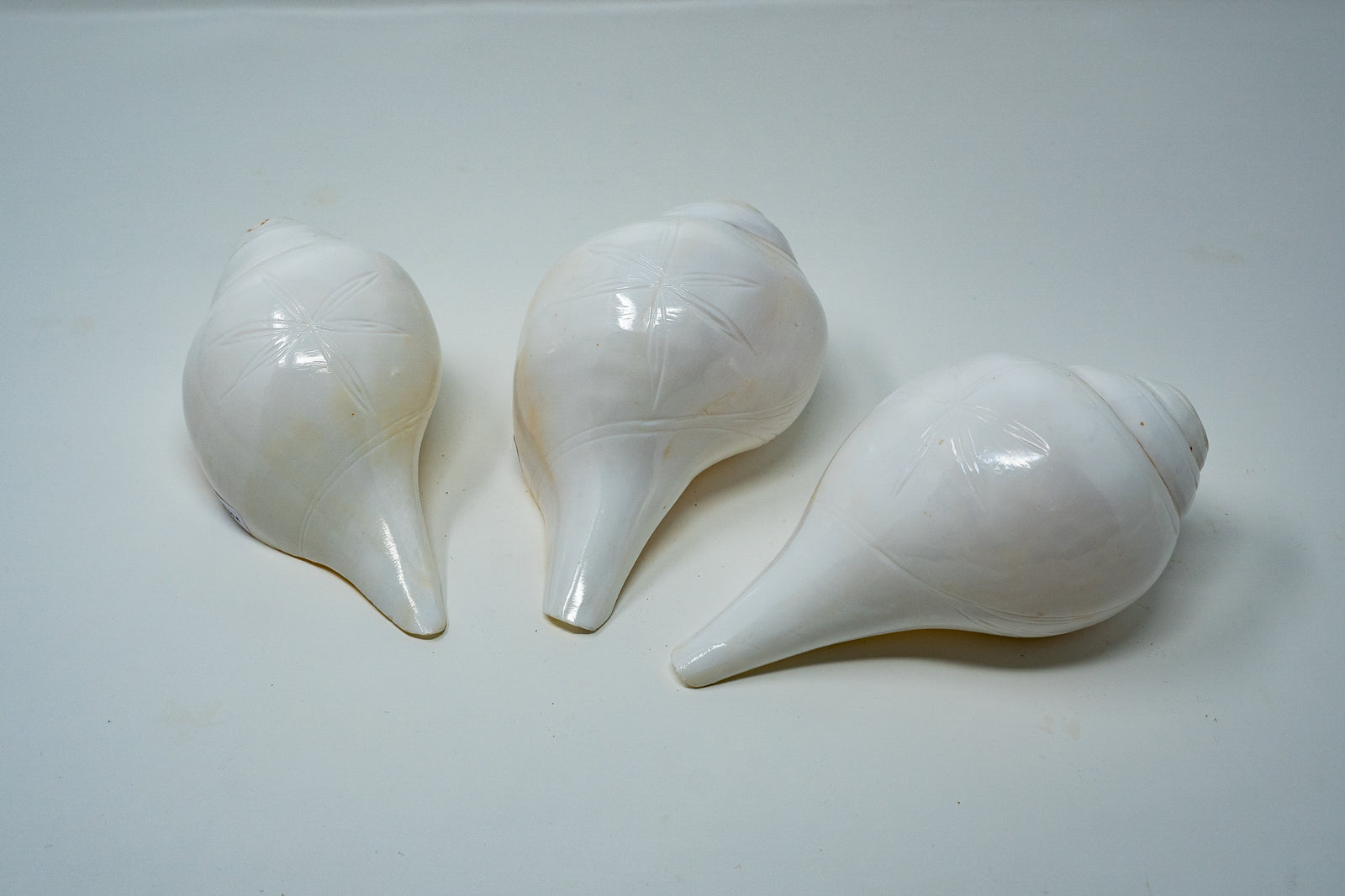 Blowing Conch / Shankha, Right hand, flower design